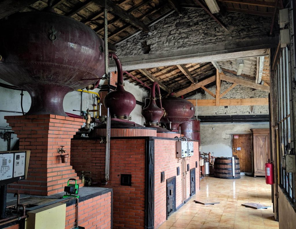 Making Cognac - Learn about the process behind the creation of the drink
